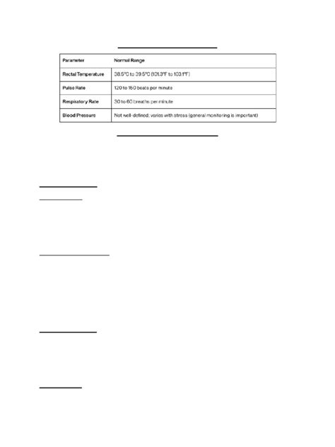 Rabbit Protocol Pdf Electrocardiography Bone Marrow