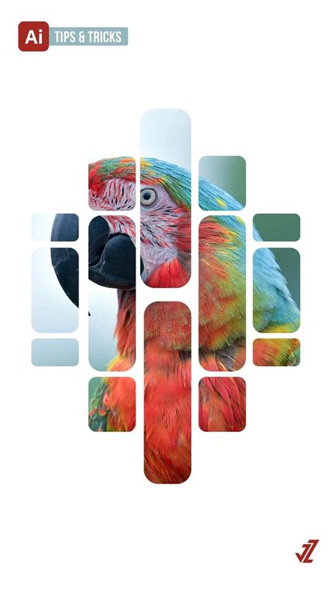 Clipping Mask Or Compound Path In Illustrator In 2025 Graphic Design