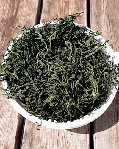 완도동고어촌계 건조청각1kg 전남어촌특화지원센터