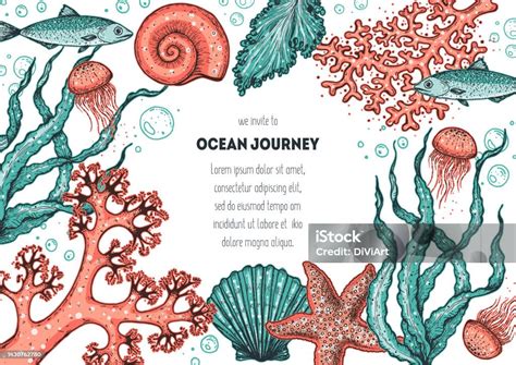 수중 세계 손으로 그린 컬렉션 컬러 일러스트레이션 해초 산호 조개 불가사리 해파리 물고기 삽화 빈티지 디자인 템플릿 해저 세계