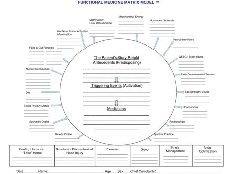 PPT FUNCTIONAL MEDICINE MATRIX MODEL TM PowerPoint Presentation Free Download ID