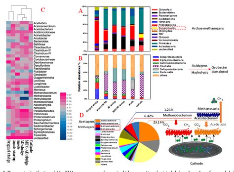 Figure 3 From Biocathodic Methanogenic Community In An Integrated Anaerobic Digestion And