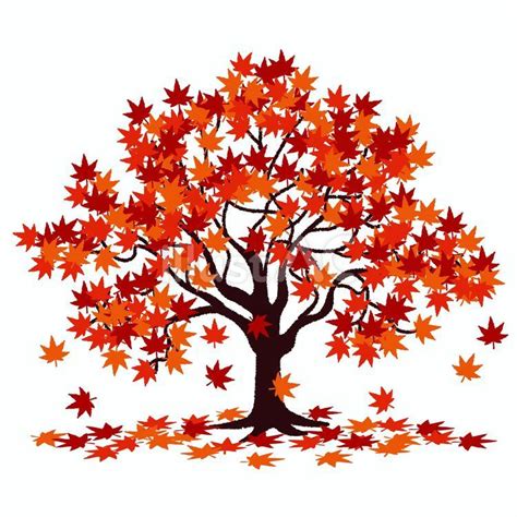 紅葉の木のイラストイラスト No 25197566｜無料イラスト・フリー素材なら「イラストac」