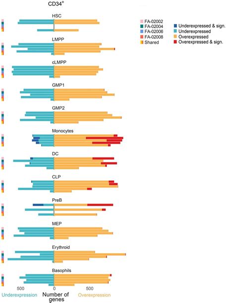 Scrnaseq Analysis Of Corrected And Uncorrected Hematopoietic Stem And