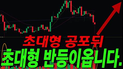비트코인 부처빔에 준하는 공포 에릭트럼프 이더리움 매수시기 미국 국부펀드 옵니다 알트대반등 곧 오는 이유는 대하락