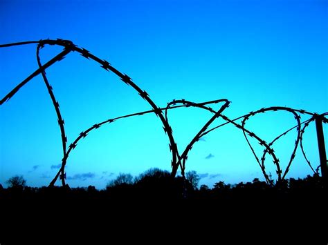 Graphic Art Wire Fencing Barbed Wire Wallpaper 🔥 Download Free