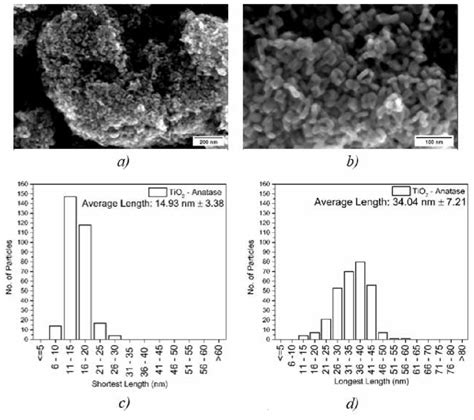 SEM Micrographs At A Low And B High Magnification Along With Size Download Scientific