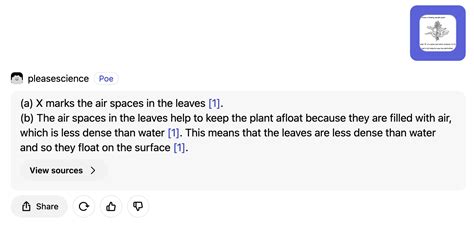 Customised Gpt To Answer Primary School Science Questions Using Cer Approach Physics Lens