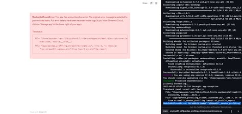 Pandas Profiling Page 3 Custom Components Streamlit