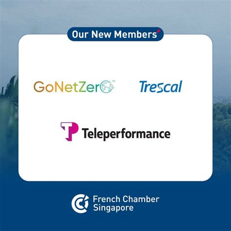 Europe Decarbonisation Gonetzero Netzero Renewableenergy Gonetzero™