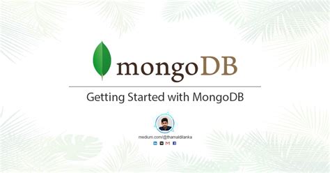 The First Step Into Mongodb