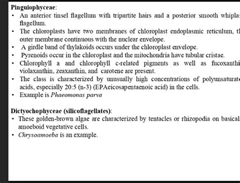 Algae And There Classification Based On Different Features Structure