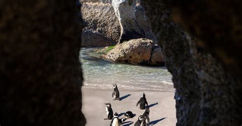 Powerpoint Hint Archives File Format Apps Blog Asposeapp