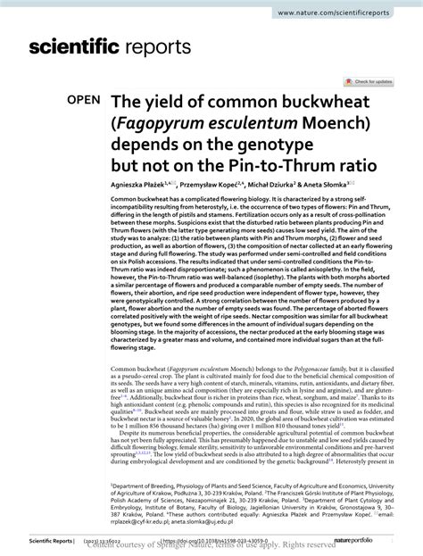 PDF The Yield Of Common Buckwheat Fagopyrum Esculentum Moench