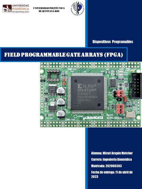 ensayo fpga pdf