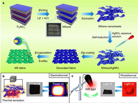 Schematic Illustration In Fabrication Process Of Ms Fabric A And Its Download Scientific