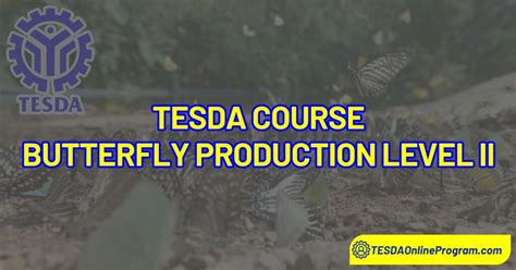 Tesda Butterfly Production Level Ii Course Tesda Online Program