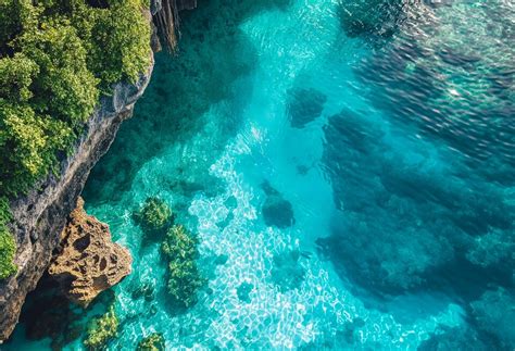 [날씨와 식탁 ⑥] 먹고살기 막막해진 바다사자 해양생물 대위기