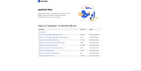 Linux系统之openeuler安装部署 阿里云开发者社区 Linux系统之openeuler安装部署 阿里云开发者社区