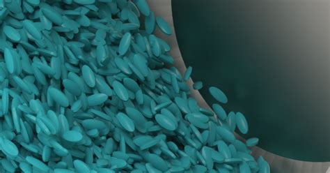 An Efficient Approach To Dem Simulation Of Fine Powder Mixing Using Machine Learning And