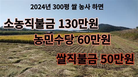 2024년 300평 벼 농사 보조금이 240만원 Youtube