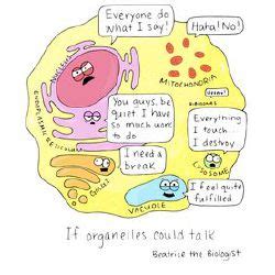 Cell Structure And Cell Organisation 1 Test