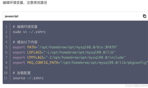 在mac安装配置mysql mac brew 安装mysql csdn博客