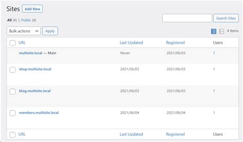 A Complete Guide To Wordpress Multisite Domain Mapping