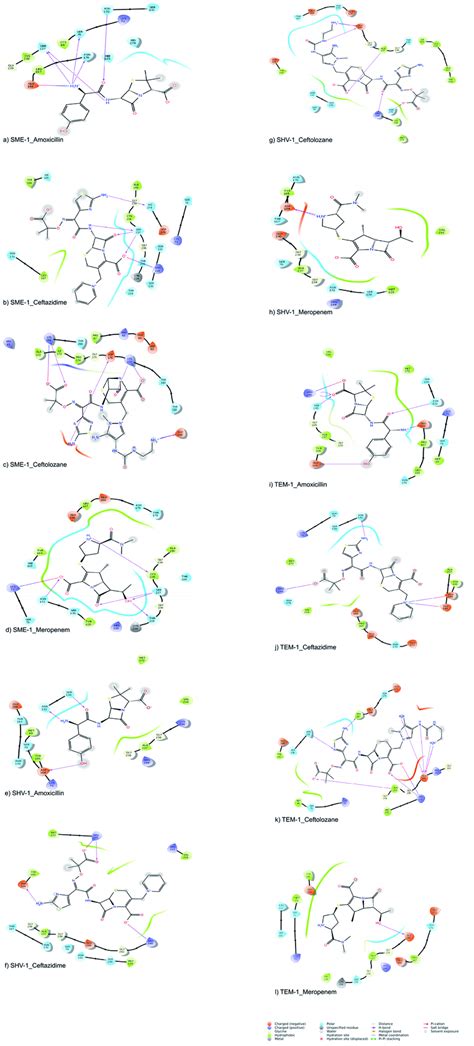Shows The Interaction Diagram After Docking Between A Download Scientific Diagram