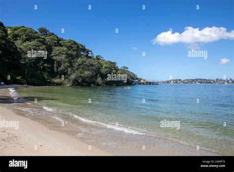 Whiting Beach On North Shore Of Sydney Harbour Mosman With Views