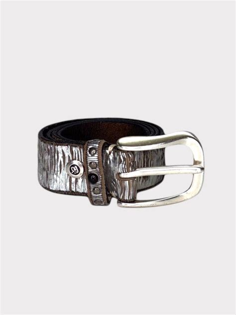 Lisa Silver Silver Heist