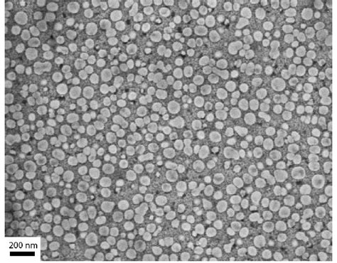 Effect Of 850°c Heat Treatment On The As Forged C¢ Microstructure A