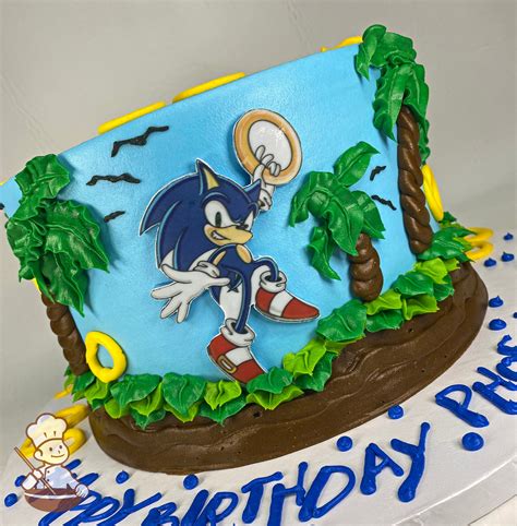 Sonic Birthday Round Cake Freedom Bakery