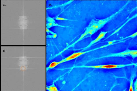 Demonstration Of Phase Reconstruction Algorithm A Reference Image Download Scientific Diagram