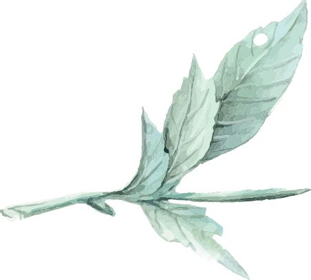 Modal Popup Widget For Elementor Addons Exclusive Addons