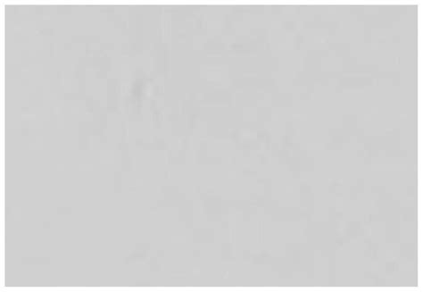 Manufacturing Method Of Anti Inflammatory Dental Restoration Material
