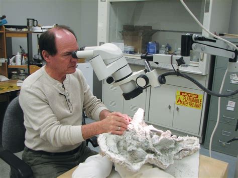 The Fossil Preparation Lab At The Utah Geological Survey Bringing Earths Ancient Past To Life