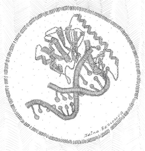 Pdb 101 Irina Besonova Gallery Patch