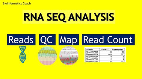 Rna Seq Analysis Workflow From Fastq To Read Counts Using