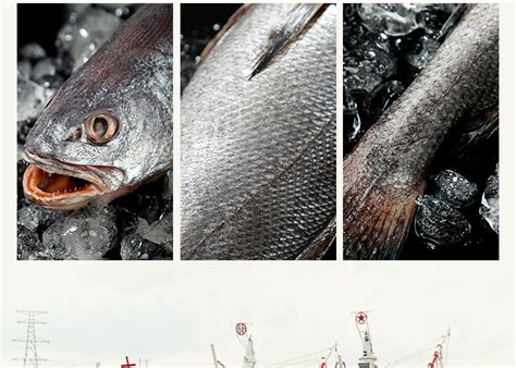 深海鰵鱼深海怪鱼深海里的鱼第5页大山谷图库