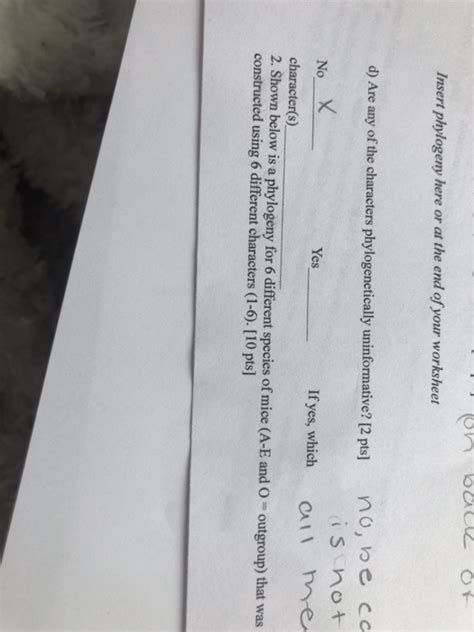 Solved A Use The Phylogeny To Complete The Matrix Below For