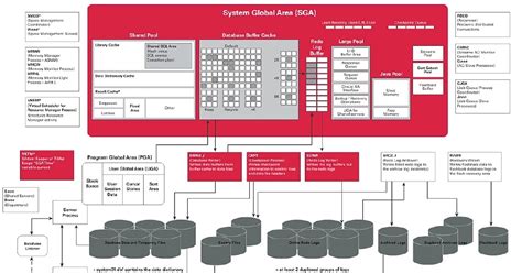 Orapub Introduction To Oracle Database Server