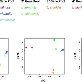 Composite PCA Plot Showing The Clustering Of Samples Using Three Download Scientific Diagram