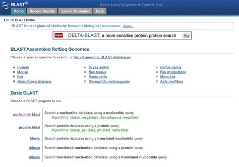 Learn Bioinformatics How To Run Blast