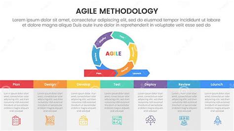 Agile Sdlc Methodology Infographic 7 Point Stage Template With Cycle Circular On Top And Table