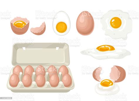 치킨 계란 세트입니다 상자 상자에 전체 계란 깨진 계란 노른자 삶은 계란 튀김과 금이 껍질 만화 플랫 스타일의 벡터 일러스트레이션입니다 달걀에 대한 스톡 벡터 아트 및 기타