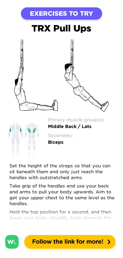 Trx Pull Ups