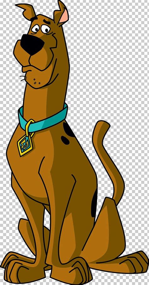 Shaggy Mystery Incorporated