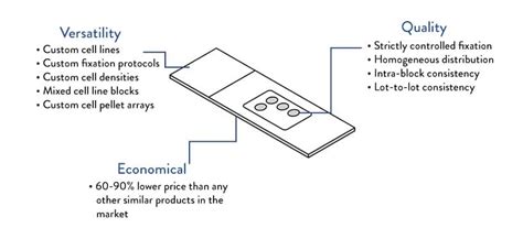 Ffpe Cancer Cell Line Controls Amsbio