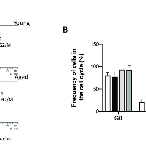 Figure S3 Gating Strategy And Quantification Of Cell Cycle